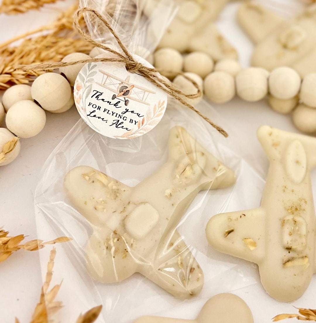 Honey Oatmeal Airplane Soap Favors - Pilot Party Decor, Time Flies ...