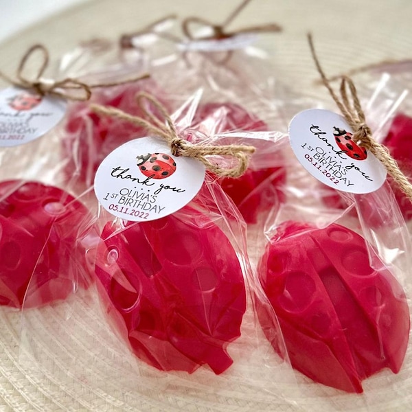 Lady Bug Party Favor - Etsy