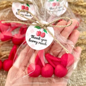 Cherry Soaps - Baby Shower Favors, Birthday Party Decor, She is the ...
