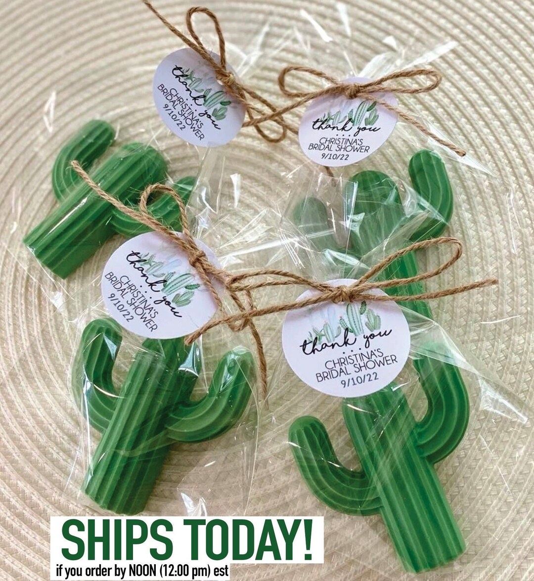 Cactus Soap Favors Cactus Party Favors Fiesta Party - Etsy