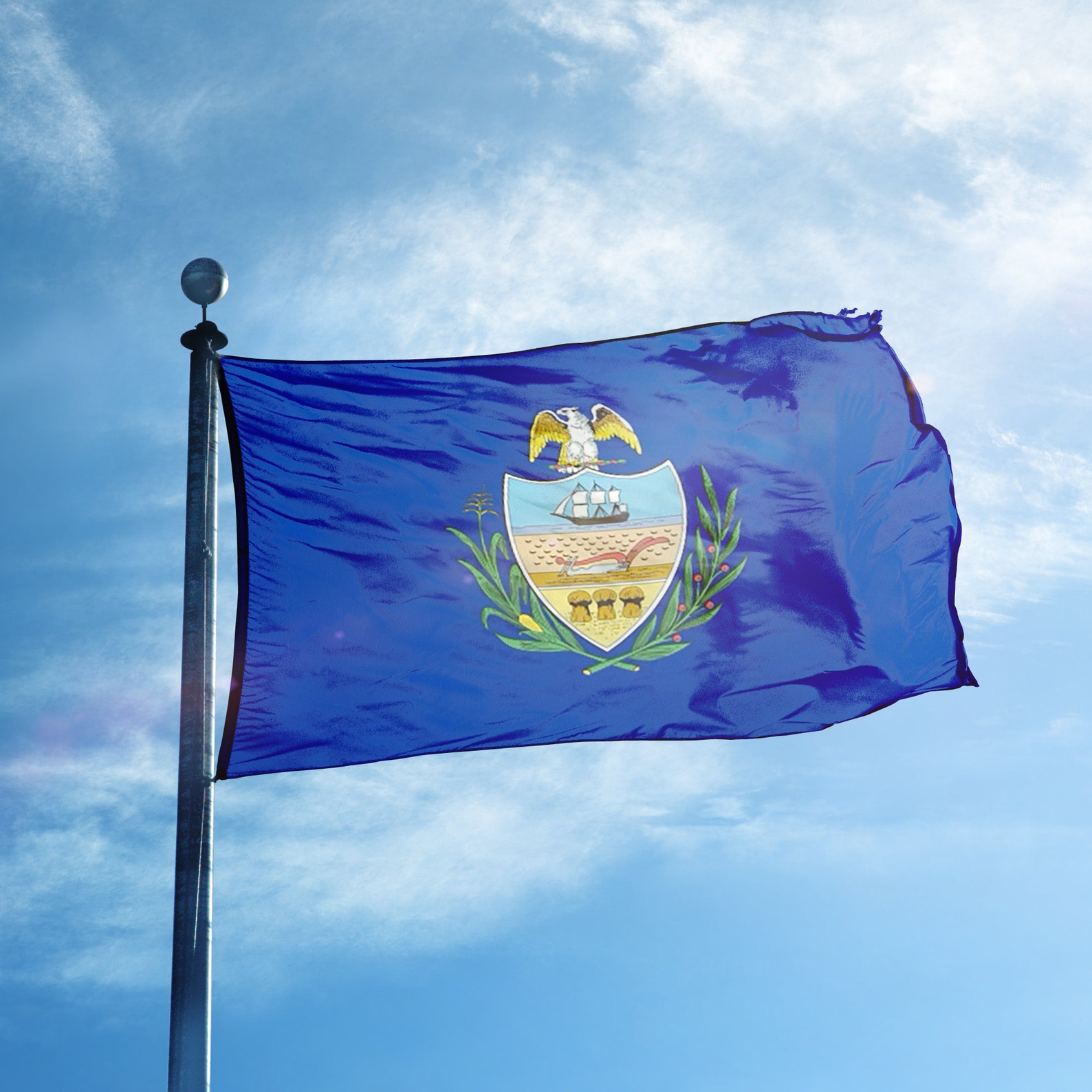 Allegheny County Pennsylvania Flag - Etsy