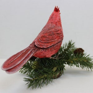 Cardinal - Etsy