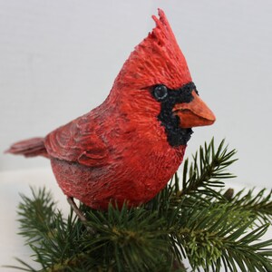 Cardinal - Etsy