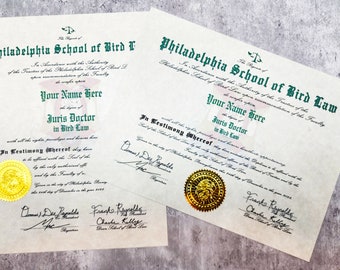 Custom Fake Diploma Framed Custom Replica Law School Diploma Custom ...