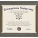 Custom Fake Diploma Framed Custom Replica Law School Diploma Custom ...