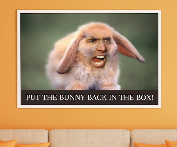 Nicolas Cage Rabbit