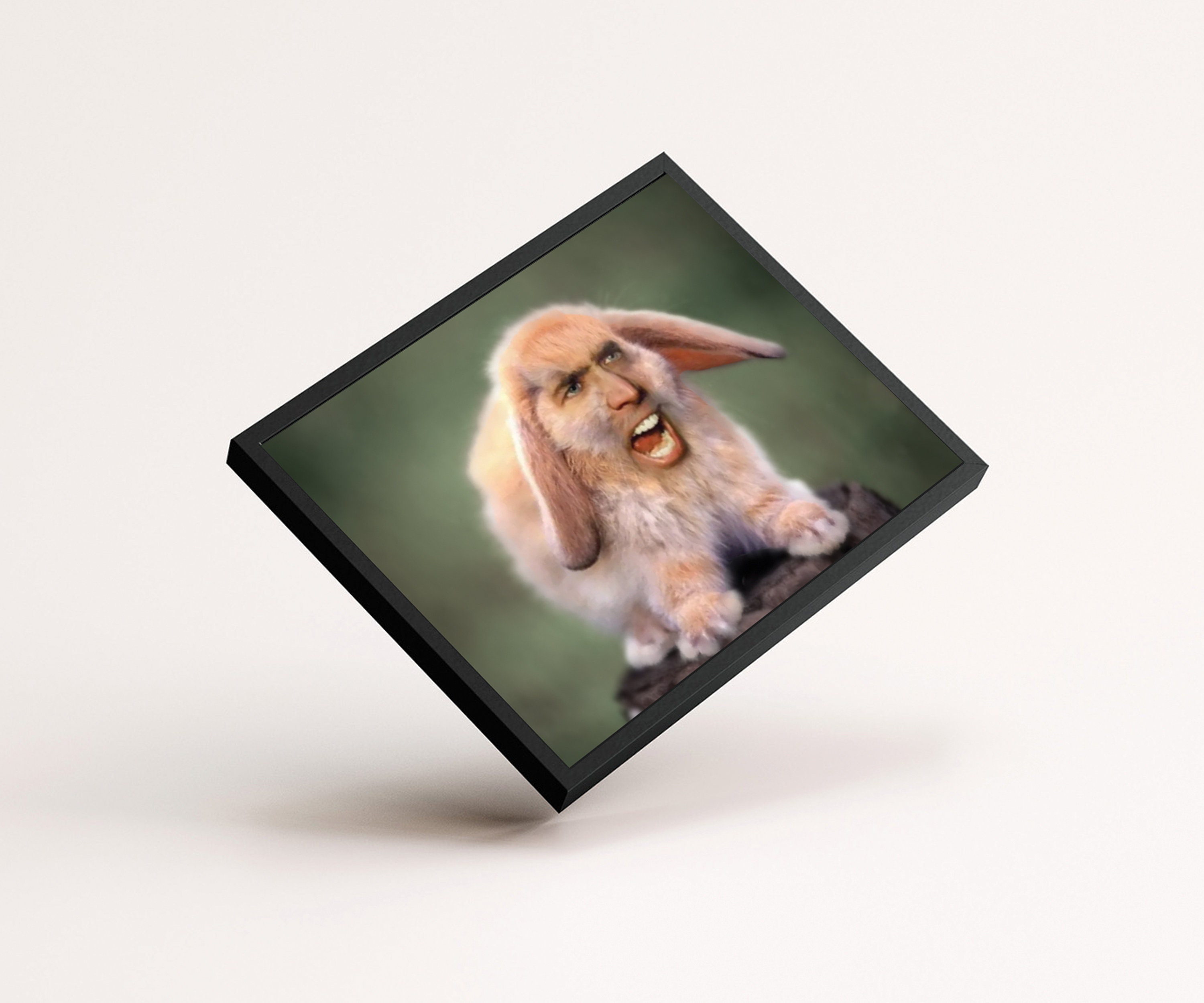 Nic Cage Cat Poster Nic Cage Rabbit Poster Nic Cage Meme - Etsy