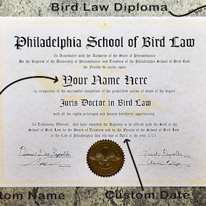 Bird Law Diploma - Custom "bird Law Diploma" - Always Sunny - IASIP ...