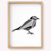 Nordic Wall Art. BIRD Printables. 6 Set of Minimalist Poster. - Etsy