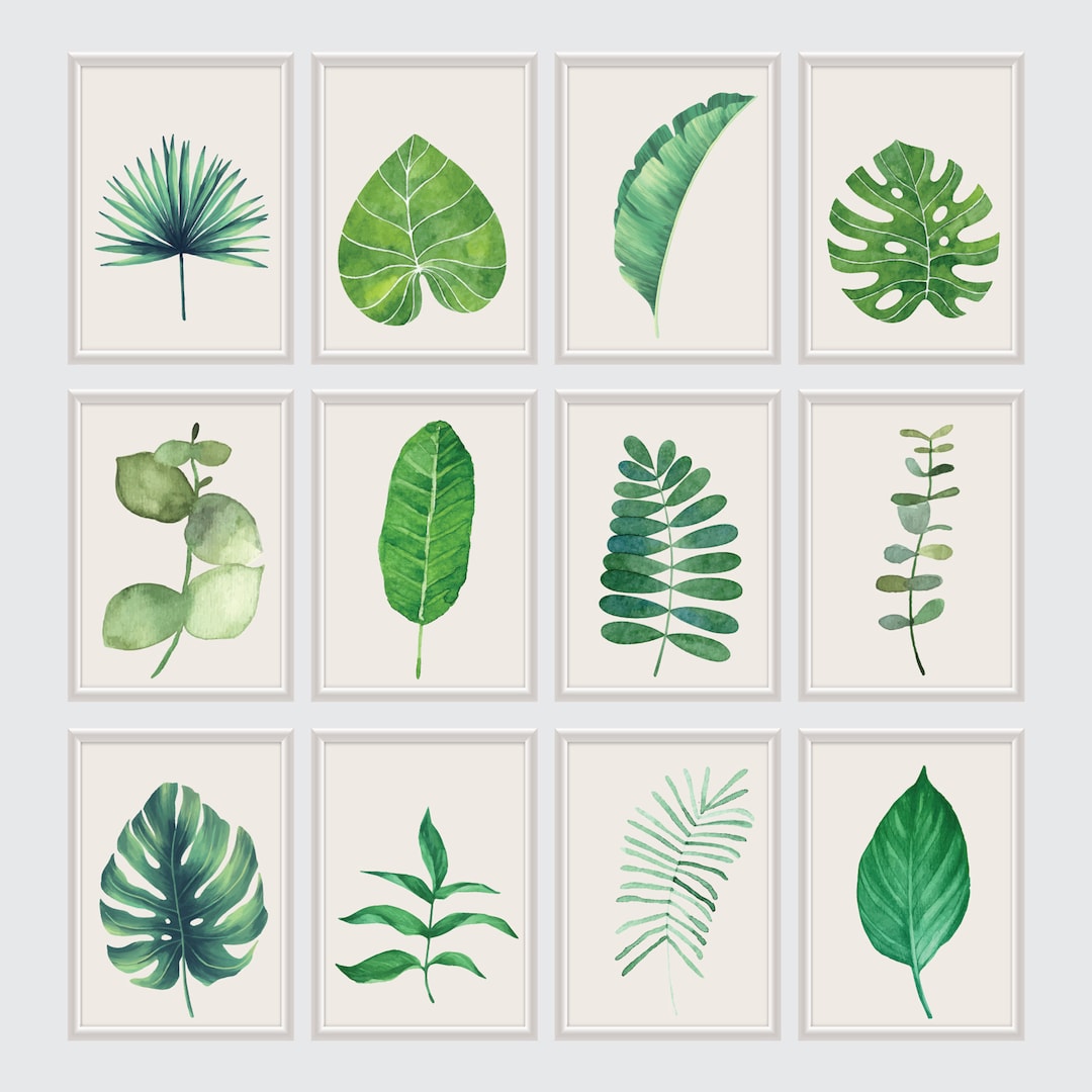 Set of 45 Minimalist Posters. Green Leaves Plants A4 Size for Printing ...