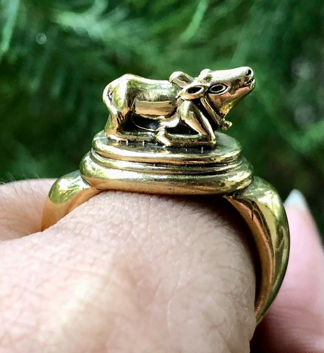 Brass Bull Ring: Sacred Nandi, Taurus Zodiac, Viking Jewelry - Etsy