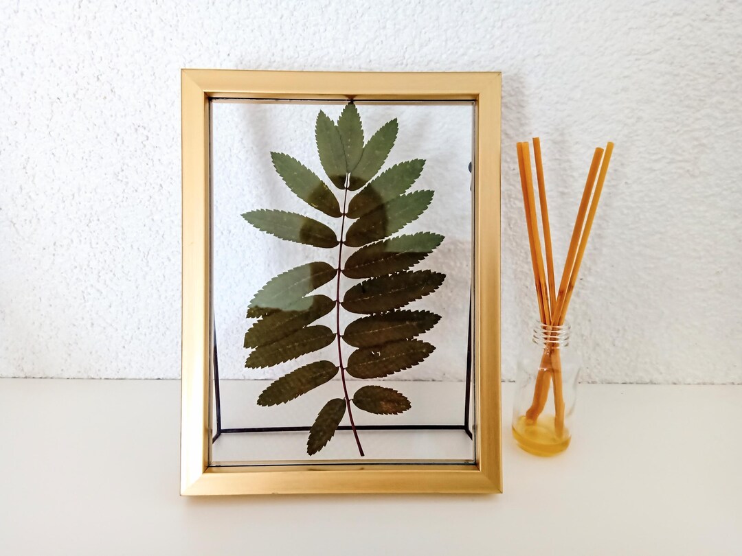Rowan Leaf Frame Protective Rowan Tree Framed Pagan Celtic Ritual Home ...