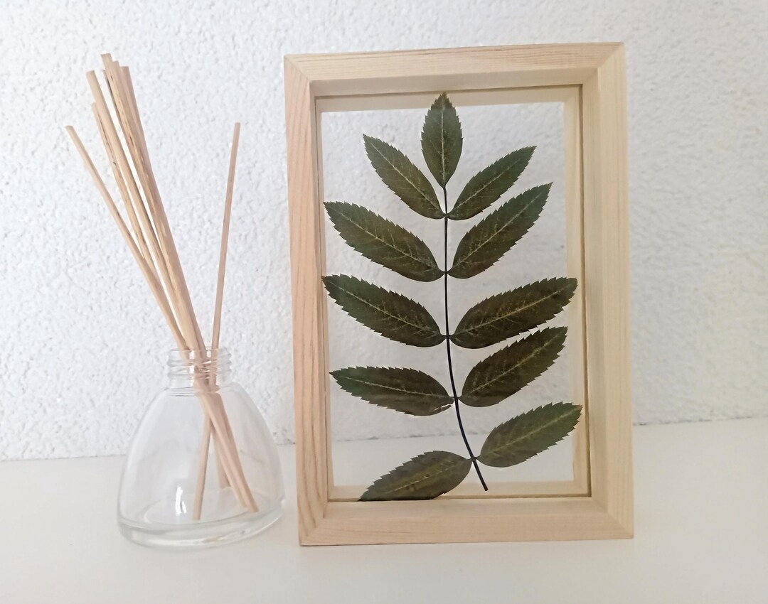 Rowan Leaf Frame Protective Rowan Tree Home Protection Decor Witchcraft ...