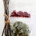 Rowan Tree Kit Rowan Tree Branches Leaves and Rowan Berries Protective ...