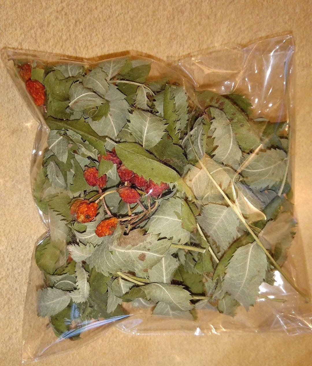 Rowan Tree Leaves and Rowan Berries Dried Protective Pagan Celtic ...