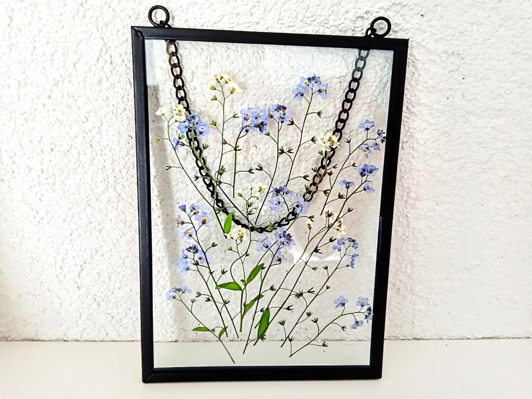 Forget Me Not Flower Frame Hangings Home Decors Dried Flowers Forget Me ...