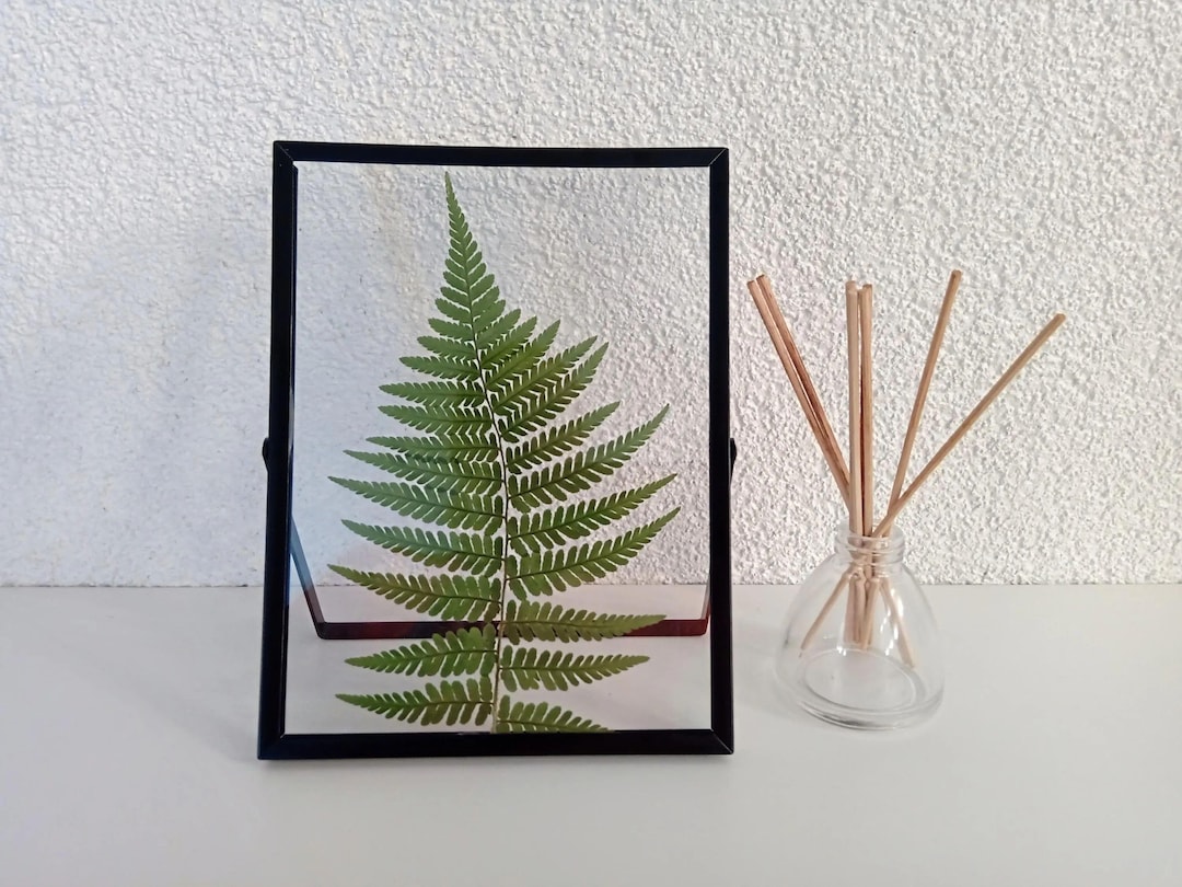 Fern Leaf Frame Pressed Fern Leaves Home Craft Rustic Decor Botanical ...