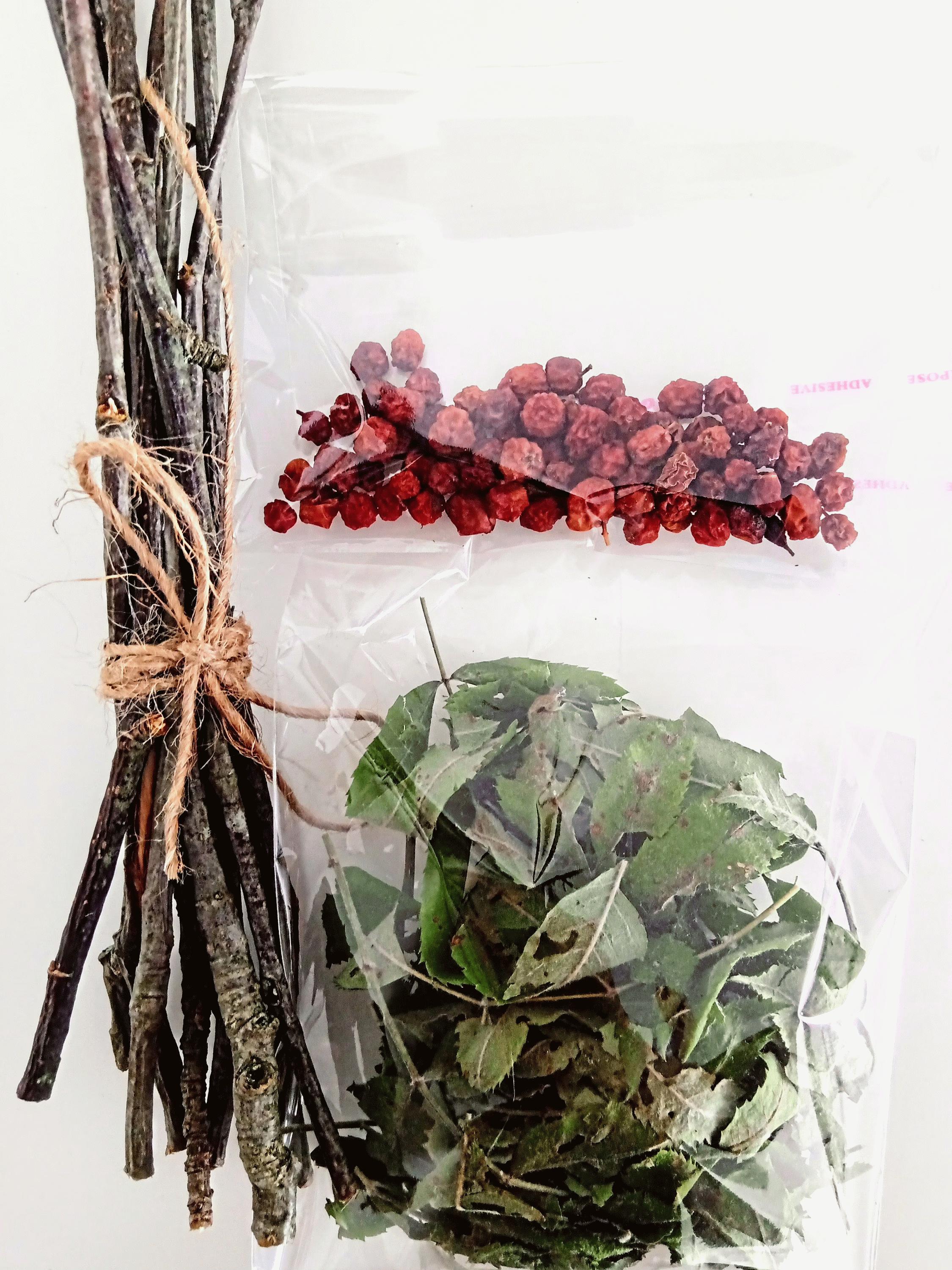 Rowan Tree Kit Rowan Tree Branches Leaves and Rowan Berries Protective ...