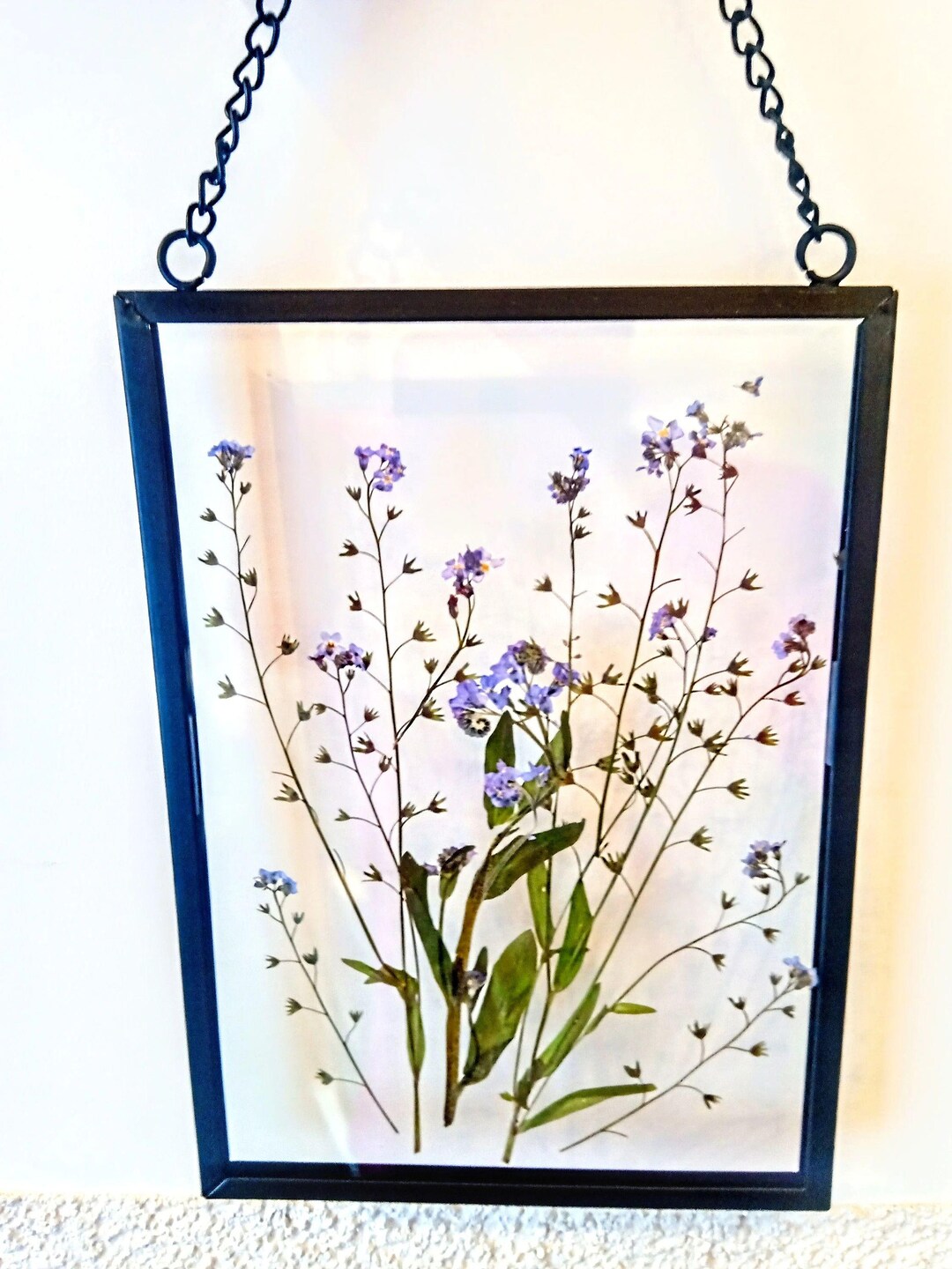 Pressed Forget Me Not Flower Frame Hangings Home Decor Dried Flowers ...