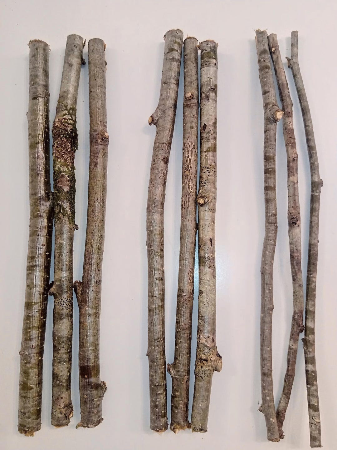 3 Large Rowan Wood Sticks 11''-12'' Mountain Ash Magic Wand Supply for ...