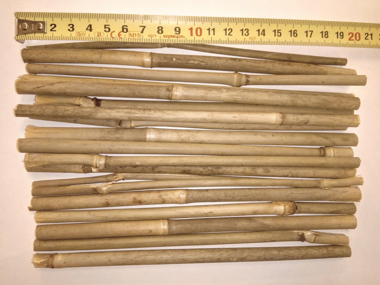 Natural River Cane Bamboo Dried Sticks 7.5'' 20cm Decorative Home Dried ...