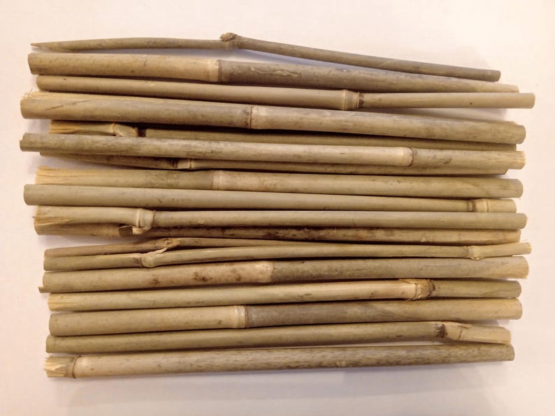 Natural River Cane Bamboo Dried Sticks 7.5'' 20cm Decorative Home Dried ...