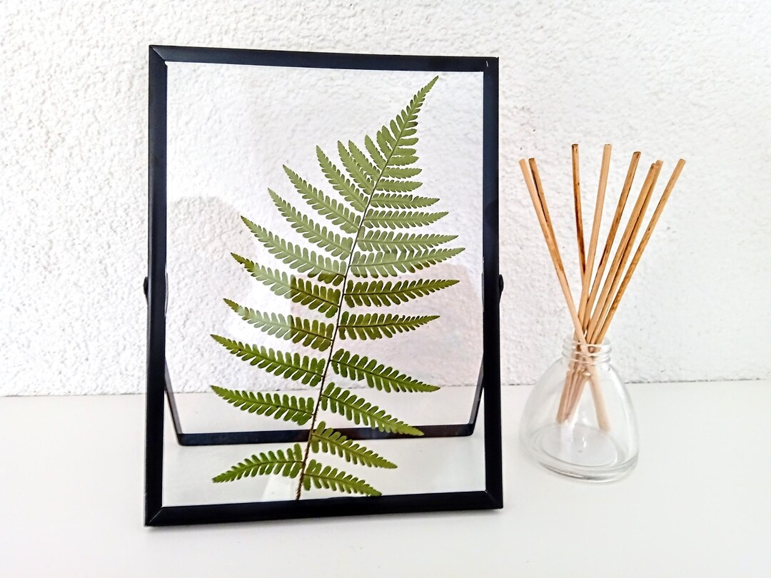 Real Fern Leaf Frame Pressed Fern Leaves Home Craft Rustic Decor Art ...