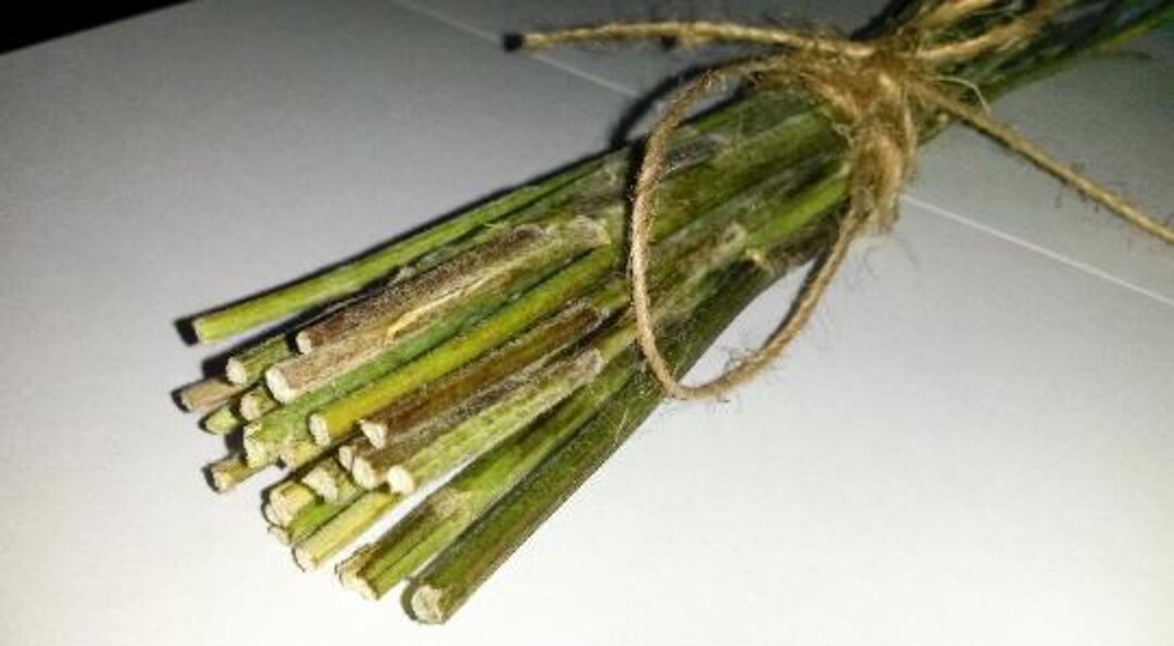 50+1 Yarrow Stalks, I Ching, Dried Yarrow, Yarrow Sticks Chinese Oracle ...