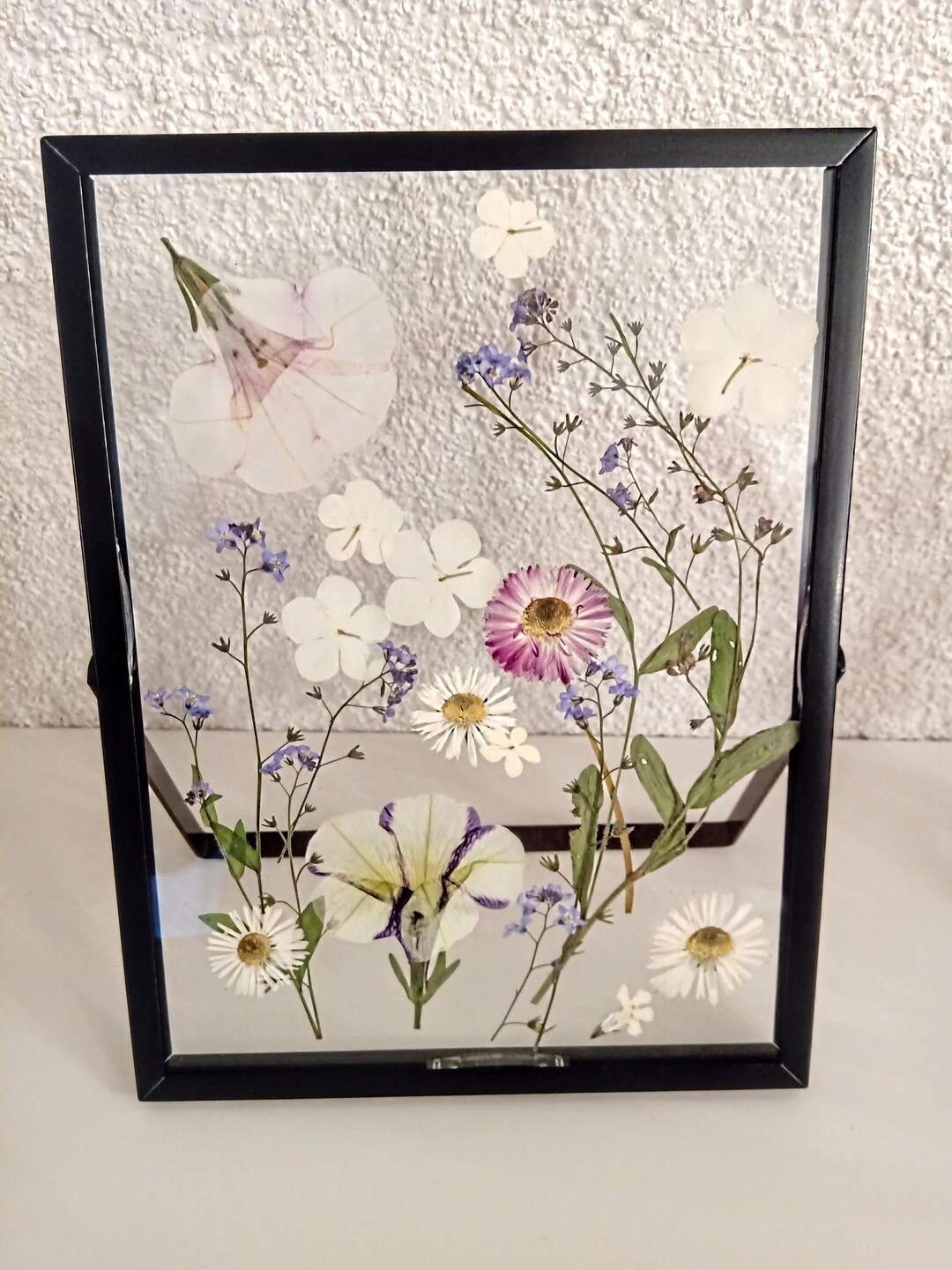 Pressed Forget Me Not Flower Frame Home Decors Daisy Spring Blue ...