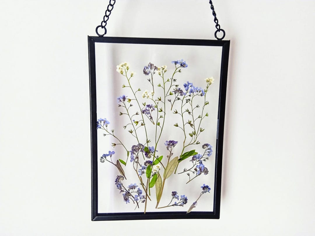 Real Forget Me Not Flower Frame Glass Wall Hangings Flowers Art Home ...