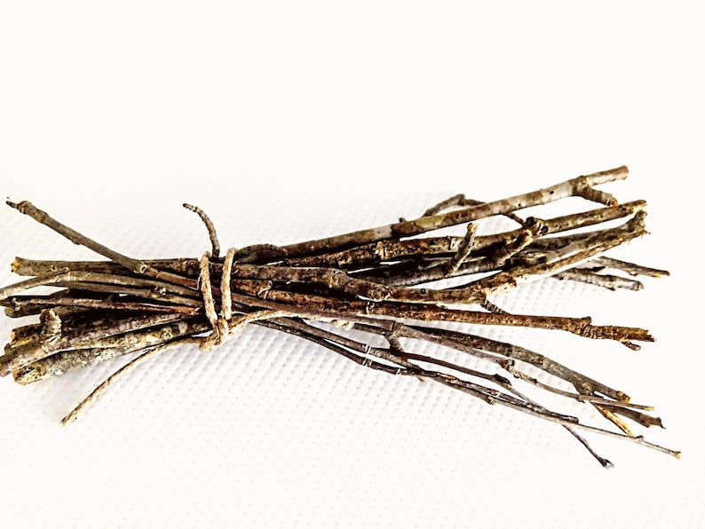 Bundle Rowan Tree Branches Sticks Rowan Wood Mountain Ash Tree Branches ...