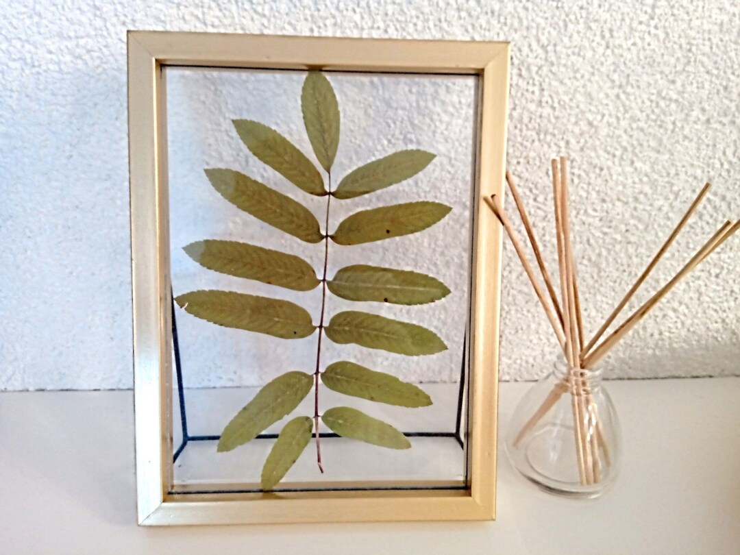 Rowan Leaf Frame Protective Rowan Tree Pagan Celtic Ritual Home ...