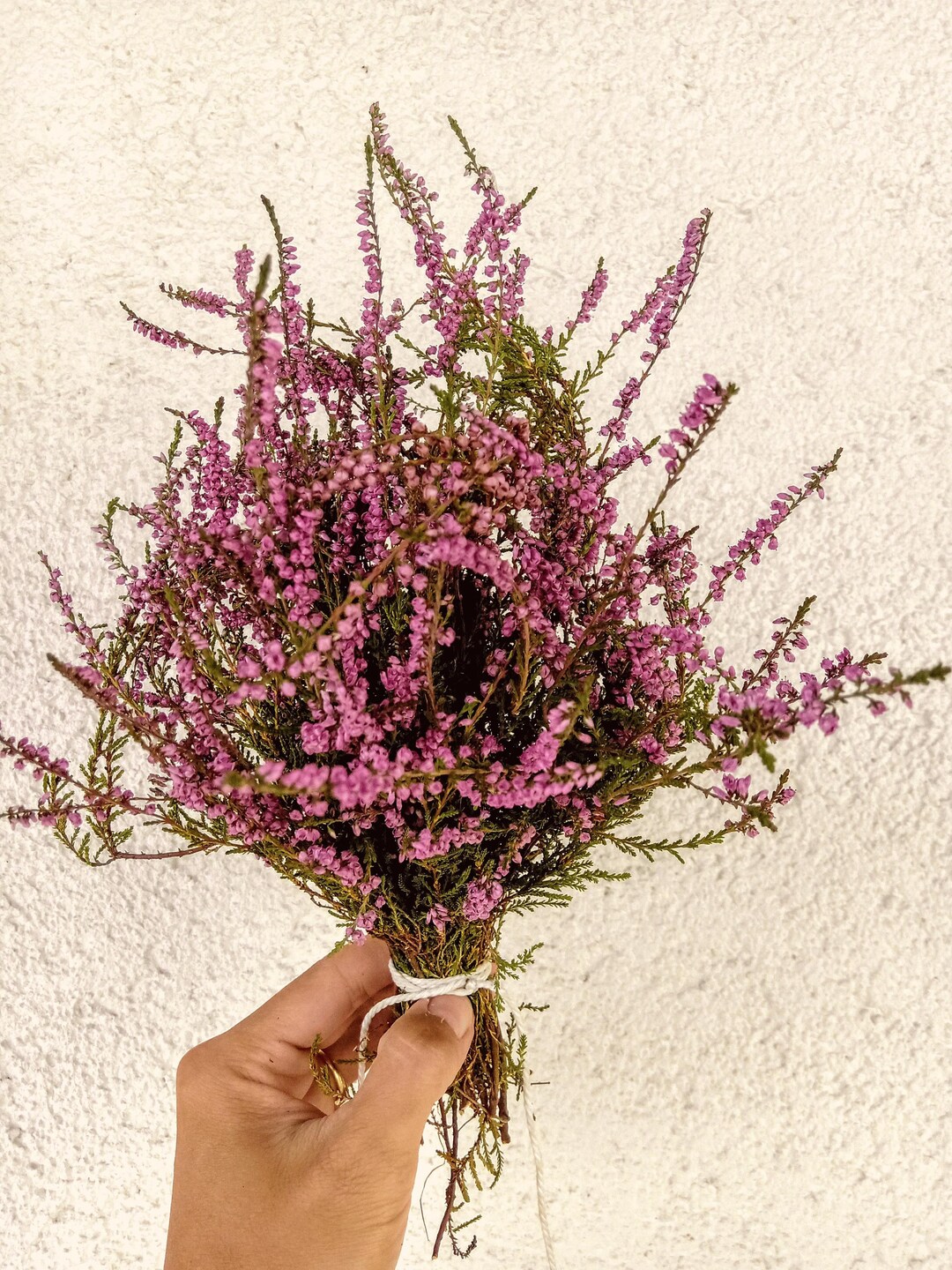 Dried Heather Bouquet Purple Flowers Wildflower Rustic Home Decor Bunch ...