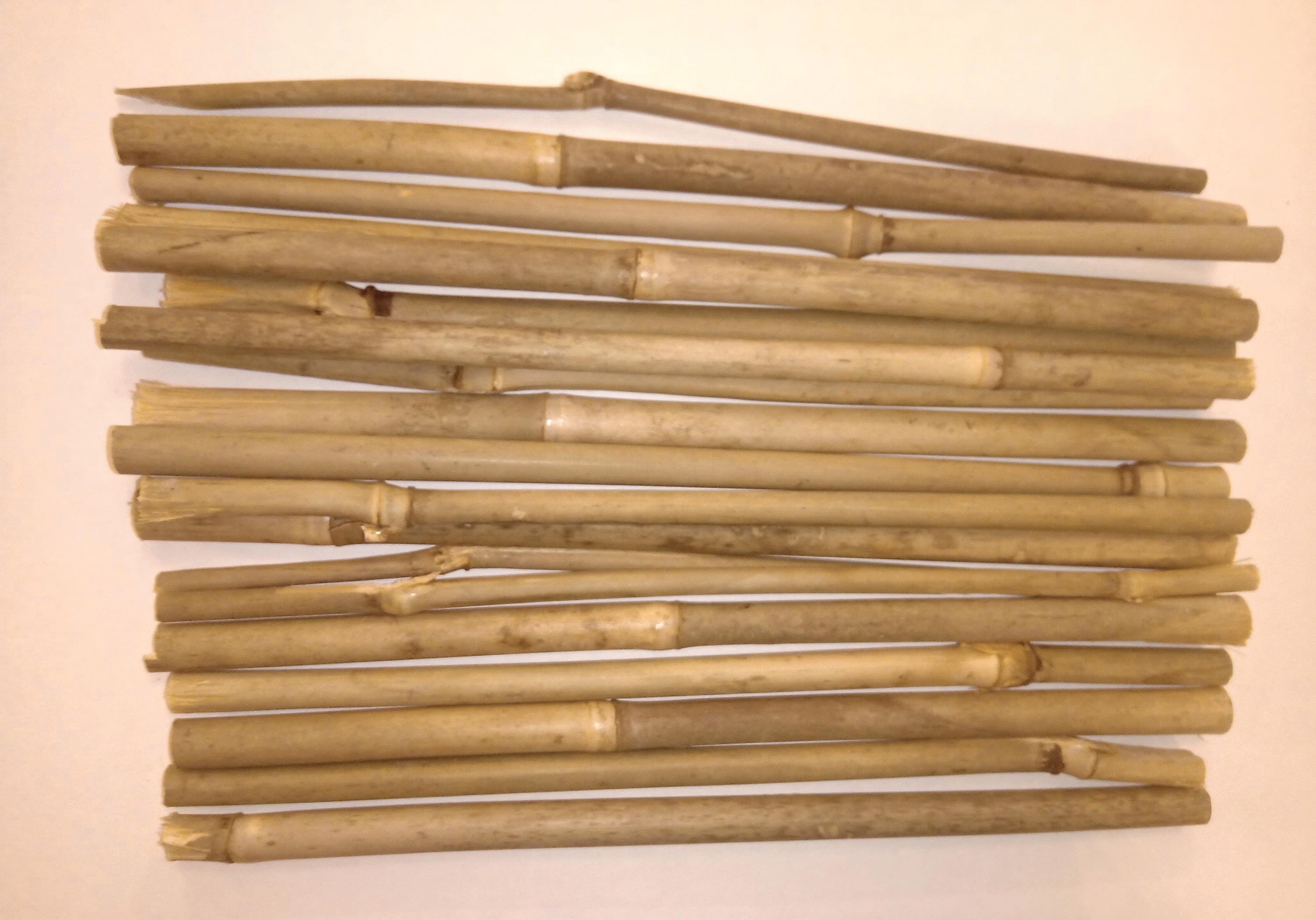 Natural River Cane Bamboo Dried Sticks 7.5'' 20cm Decorative Home Dried ...
