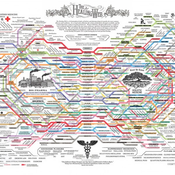 The Healing Web Poster - Etsy