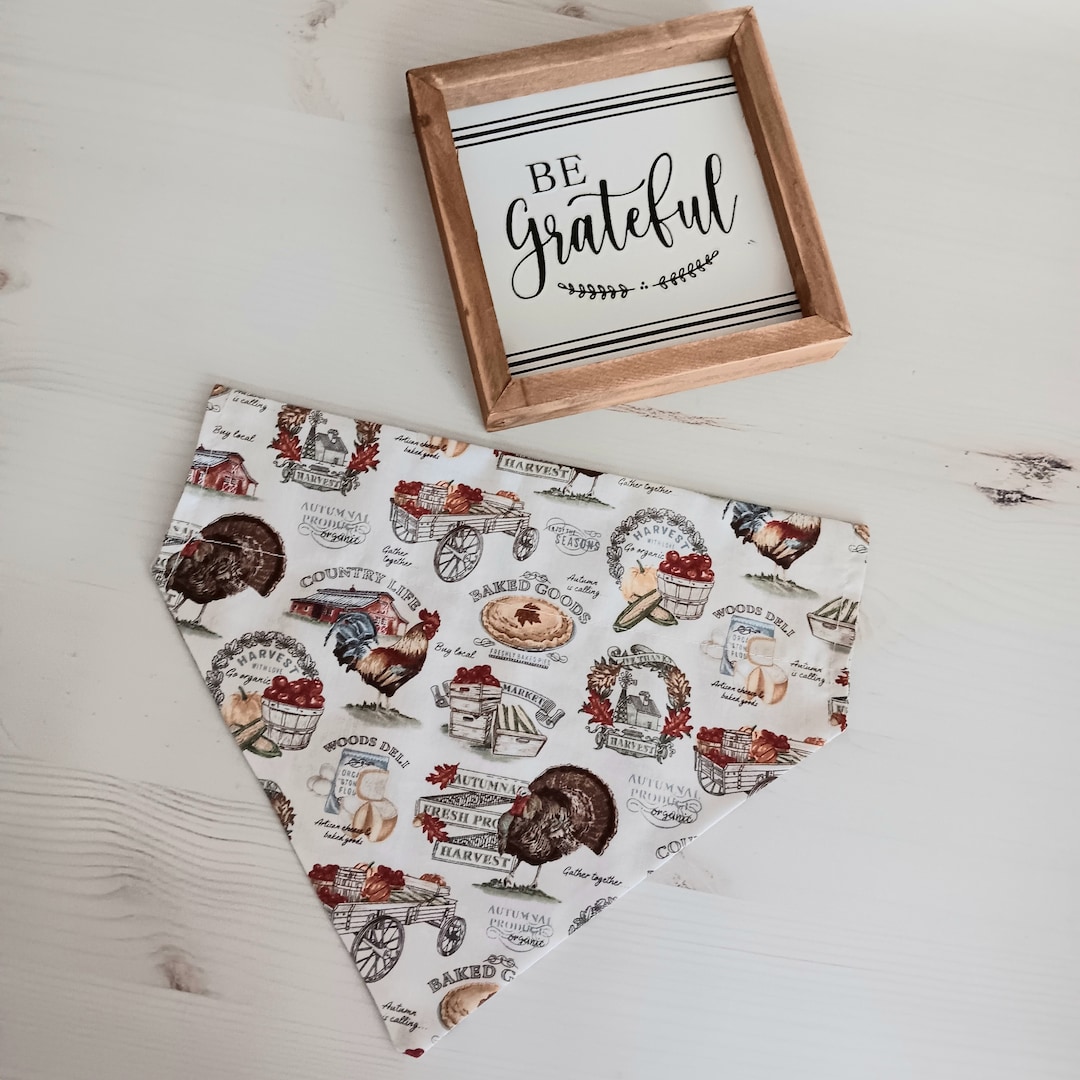 Thanksgiving Turkey Slide-on Dog or Cat Bandana - Etsy