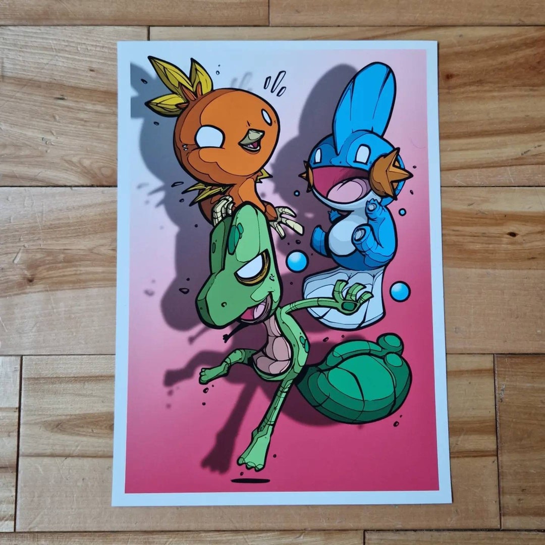 Pokemon 3rd Gen - Etsy