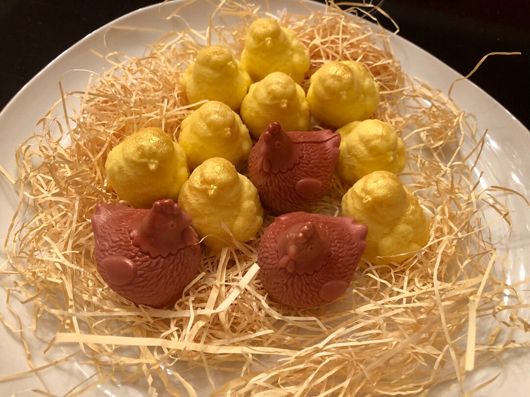 Chicken and Chicks Soap Set. - Etsy