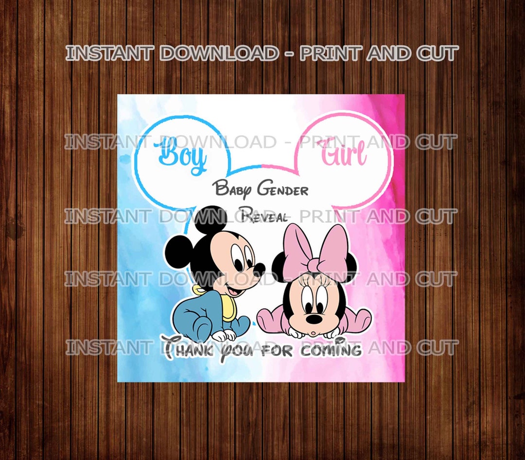 Mickey and Minnie Gender Reveal Baby Shower, Mickey and Minnie Baby ...