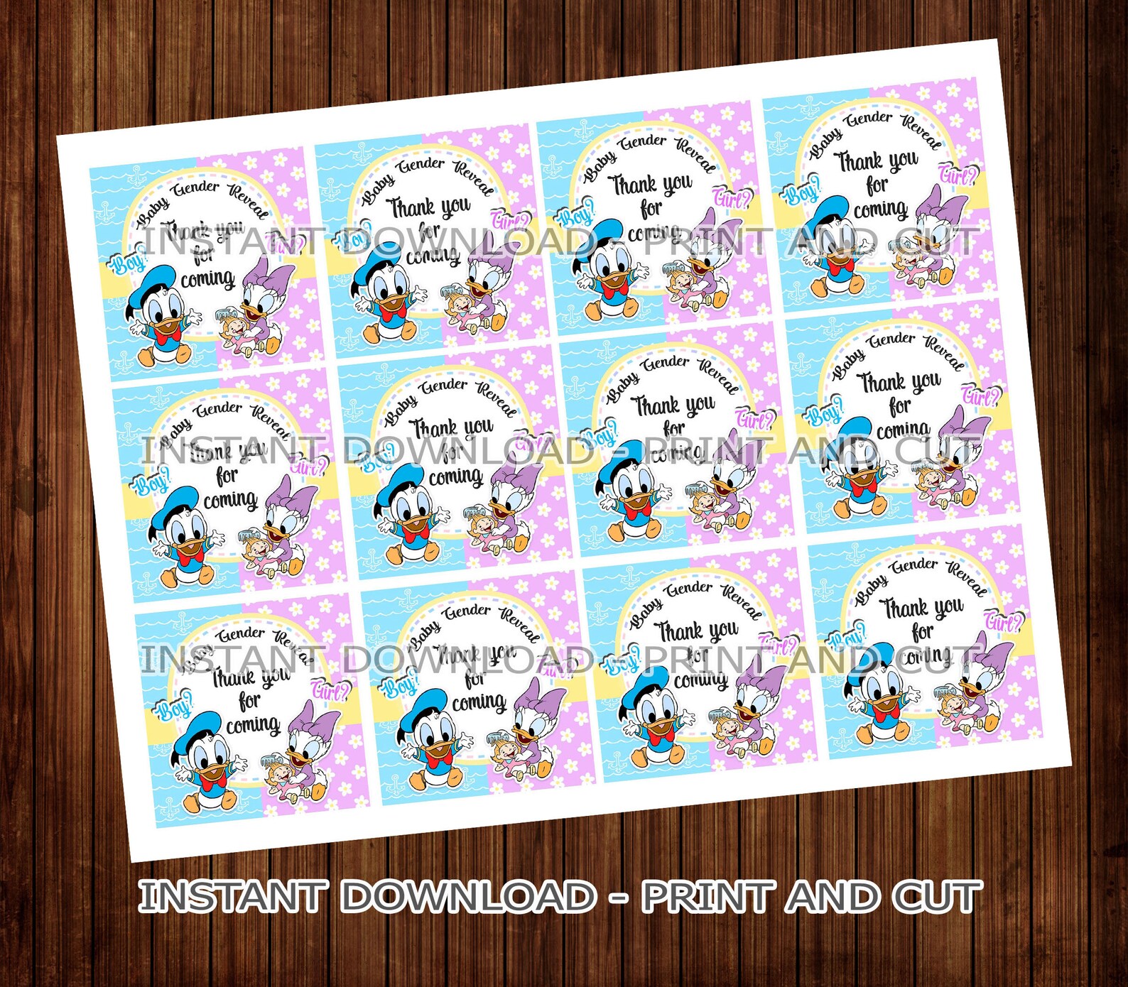 Baby Gender Reveal Tags Donald and Daisy Gender Reveal Label - Etsy