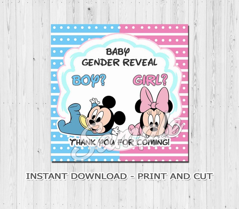 Mickey and Minnie Gender Reveal Baby Shower, Mickey and Minnie Baby ...