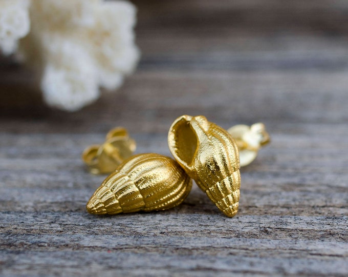 Seashell Stud Earrings Nature Jewelry Gold Hoop Earrings - Etsy