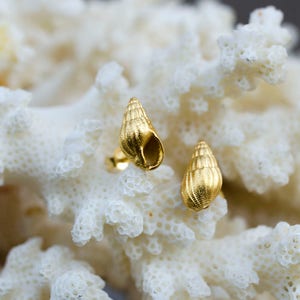 Seashell Stud Earrings Nature Jewelry Gold Hoop Earrings | Etsy