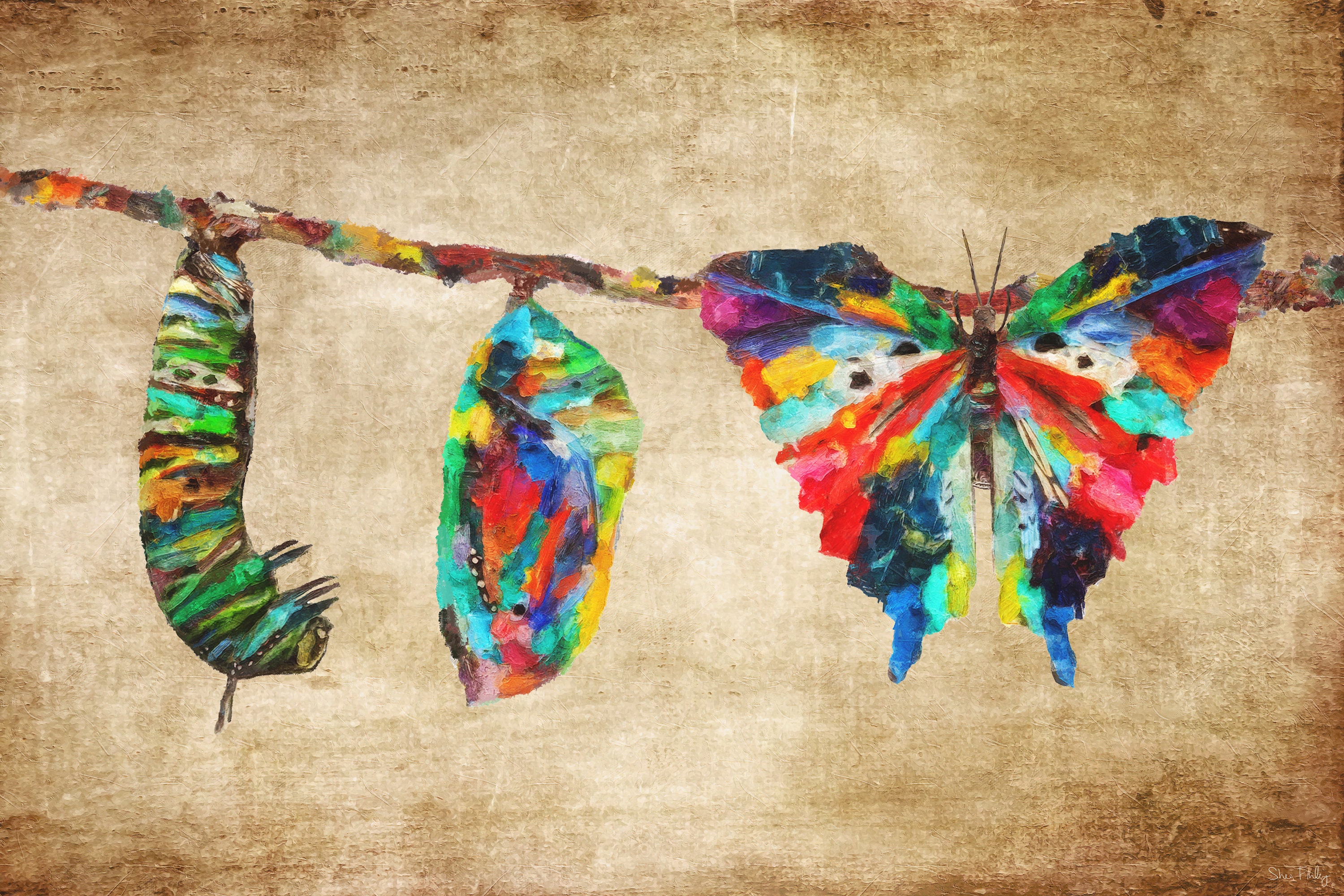 Butterfly Painting | Caterpillar Painting | Cocoon | Artwork | Digital ...