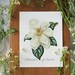 Magnolia Determination Vertical Flower Language Print - Etsy