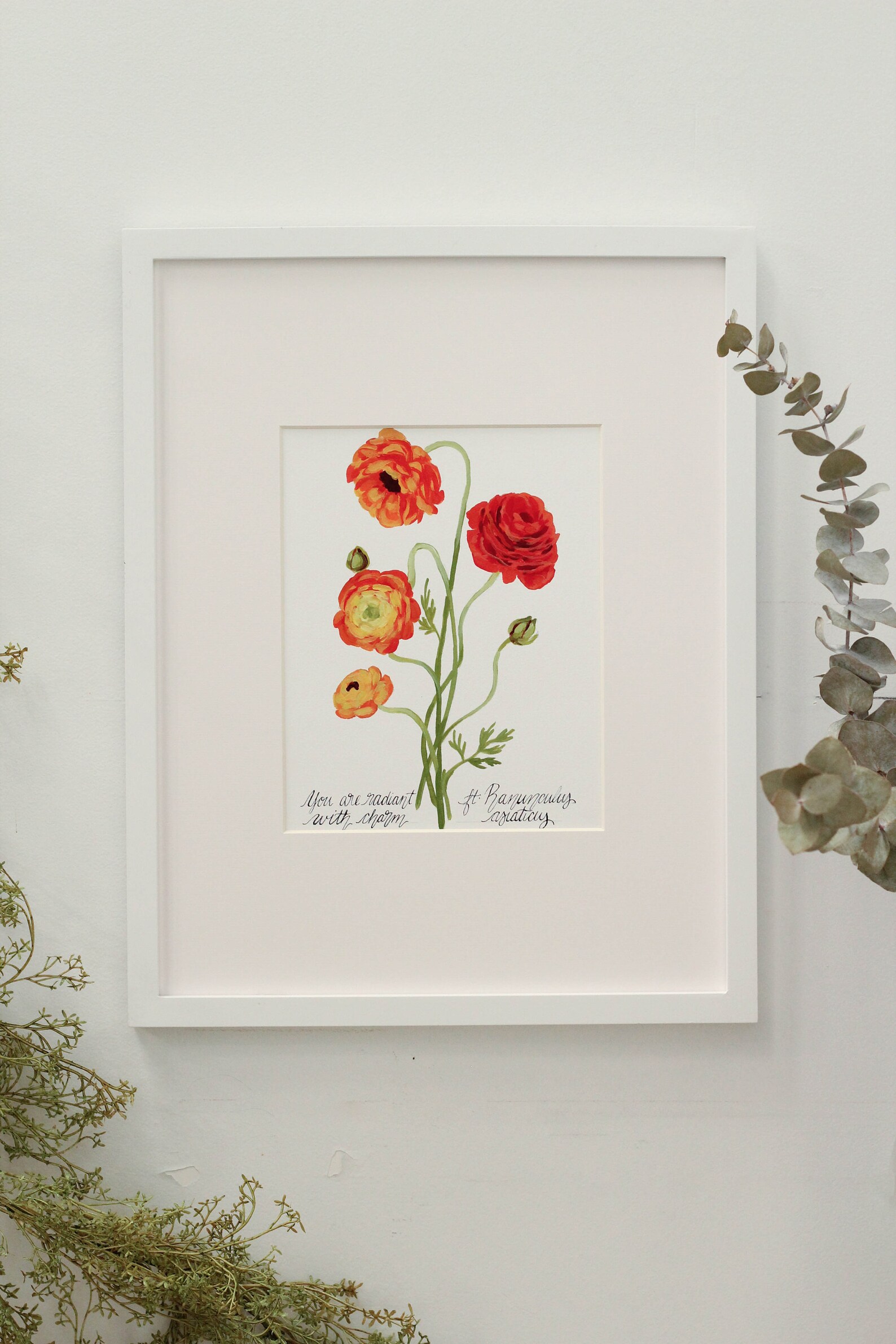Ranunculus - You Are Radiant With Charm - Vertical Flower Language ...
