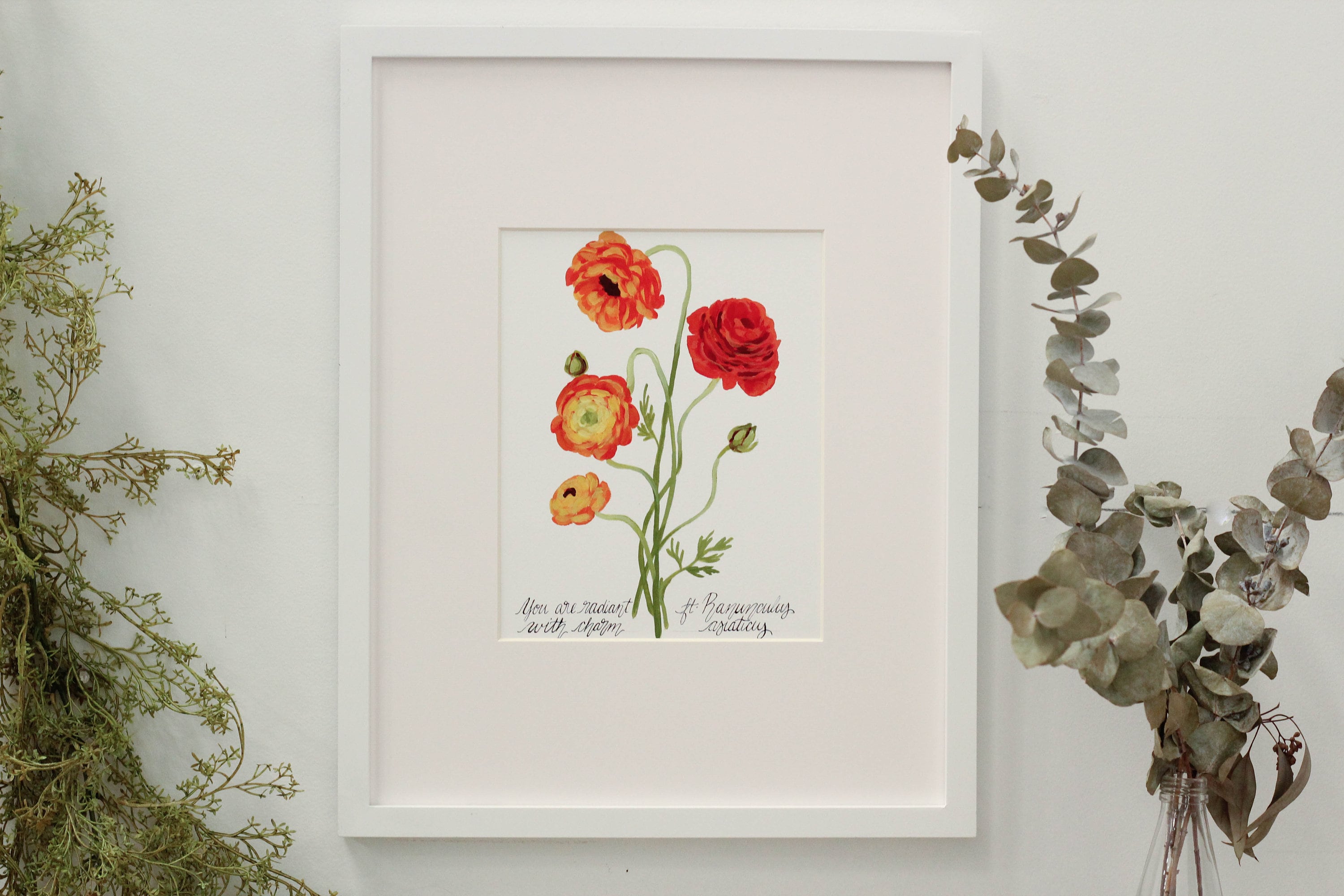 Ranunculus - You Are Radiant With Charm - Vertical Flower Language ...