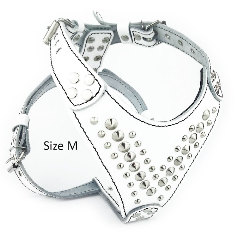 Bestia™ Genuine Leather "star" Harness. Studded. Soft Padded Chest ...
