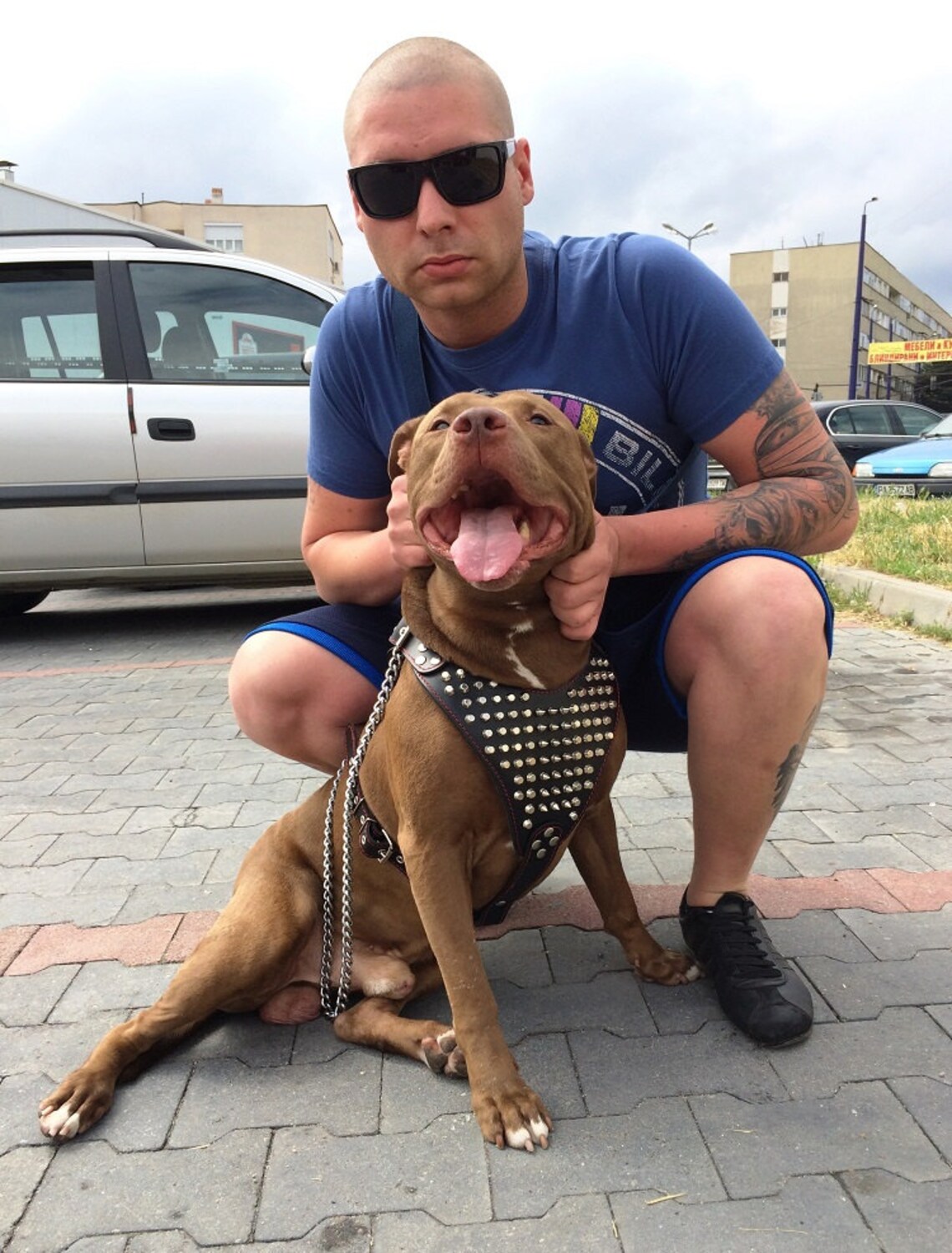 Bestia™ Genuine Leather gladiator Harness. Spikes - Etsy