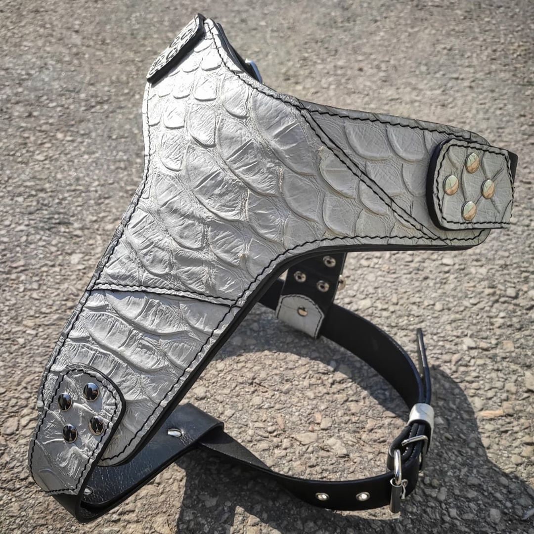 Bestia the ''dragon Scale'' Harness - Etsy